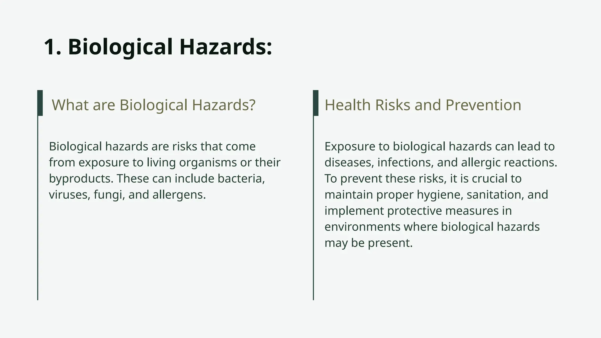 Mastering Workplace Safety: Identifying and Managing Hazards | PPTX