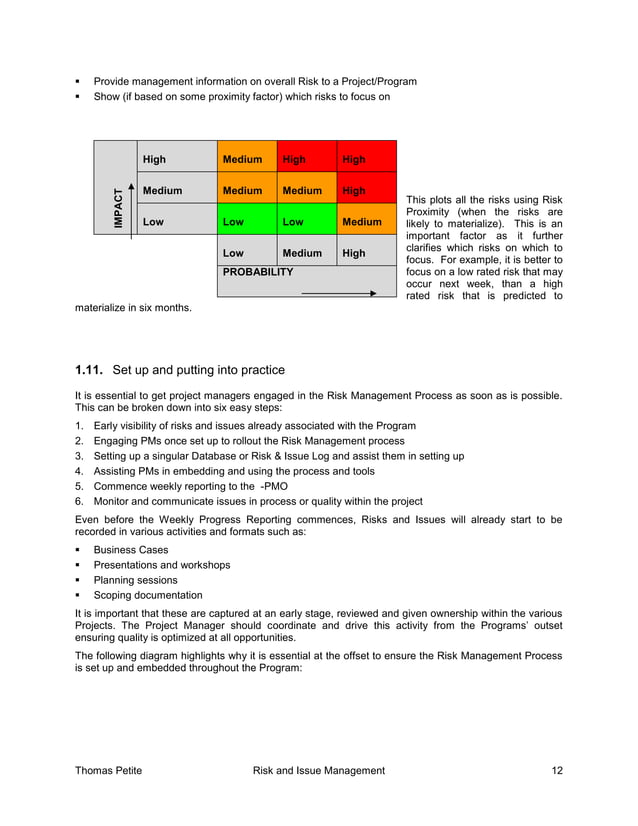 Risk and issue management | PDF | Business | Business and Finance