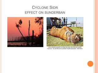 Risk And Management Final Project | PPTX