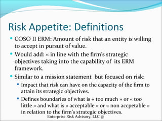 Risk appetite | PDF