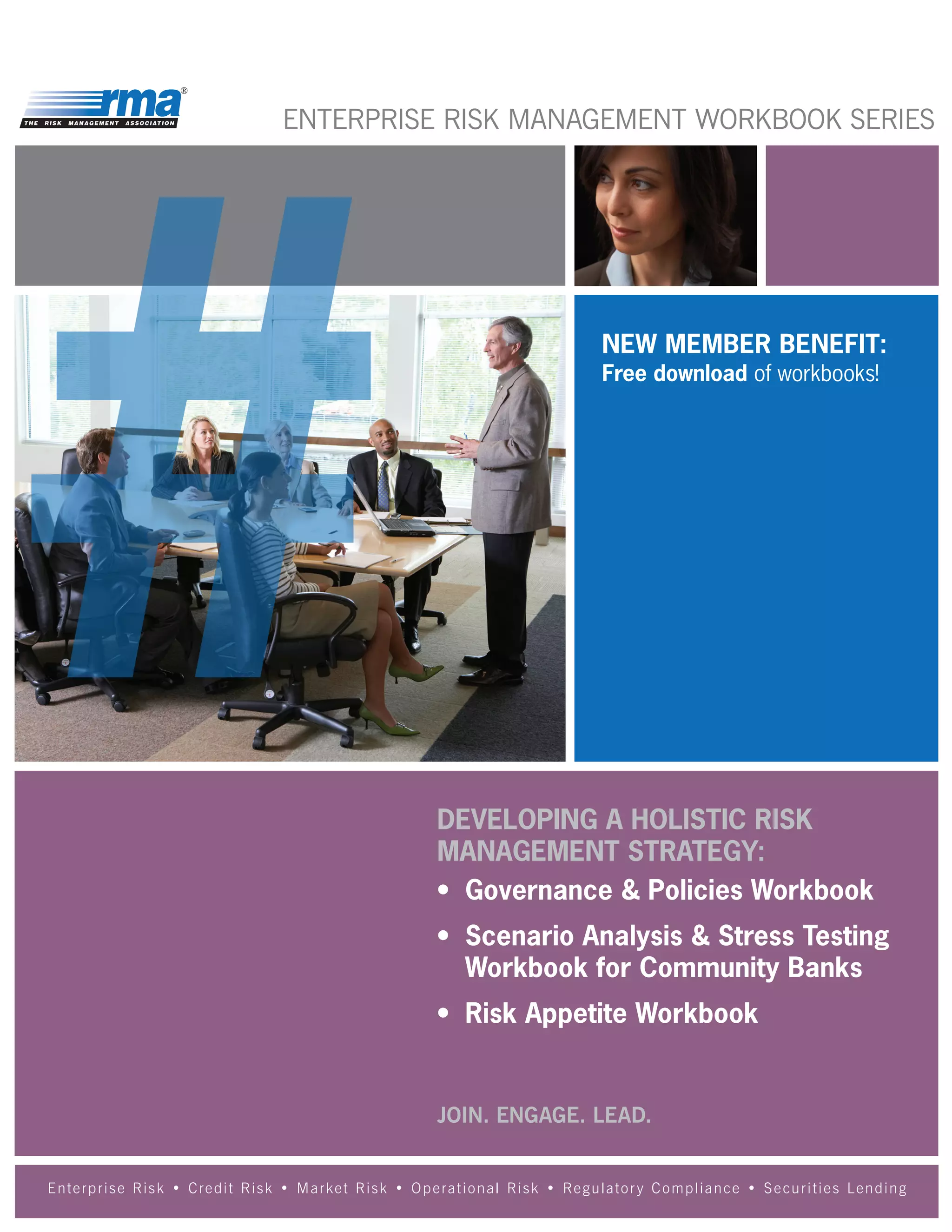 Enterprise Risk Management Workbook Series | PDF