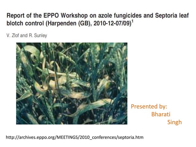 Report on Azole Fungicides and Sepatoria Leaf Blotch Control | PPT