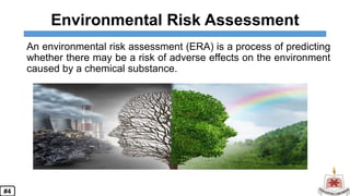 Environmental problems and human health, risk assessment and risk ...
