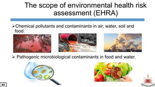 Environmental problems and human health, risk assessment and risk ...