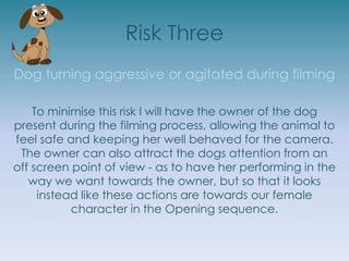 Risk Assessment | PPTX