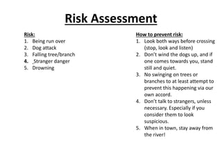 Risk assessment | PPTX