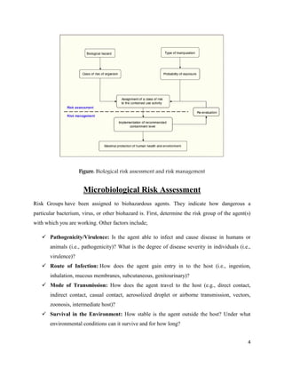 Biosafety Risk Assessments | PDF