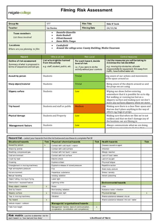 Risk assessment | DOCX