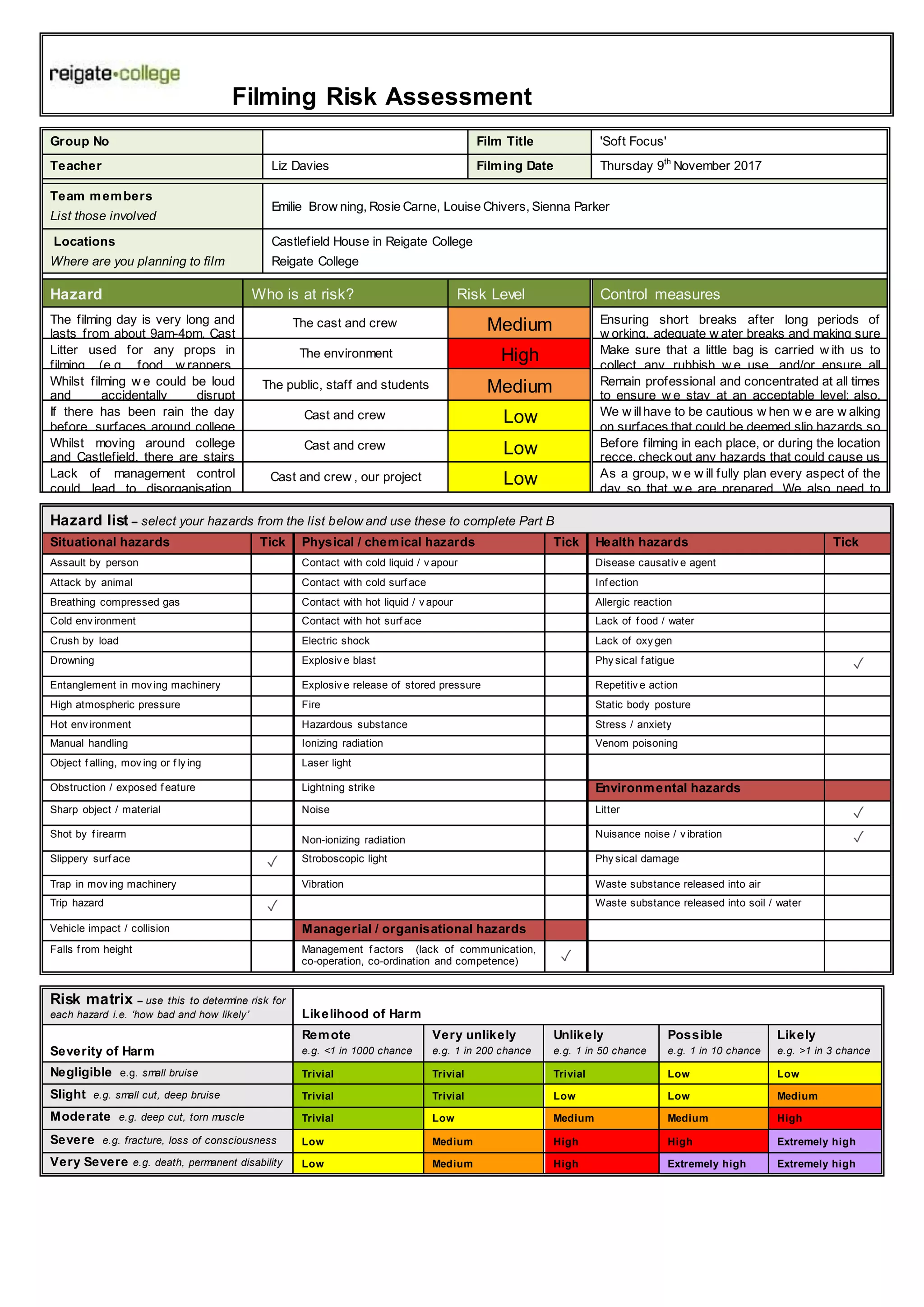 Risk assessment | DOCX