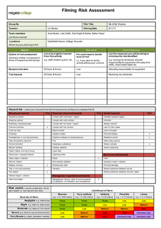 Risk Assessment | PDF
