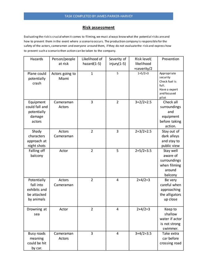 Risk assessment | PDF