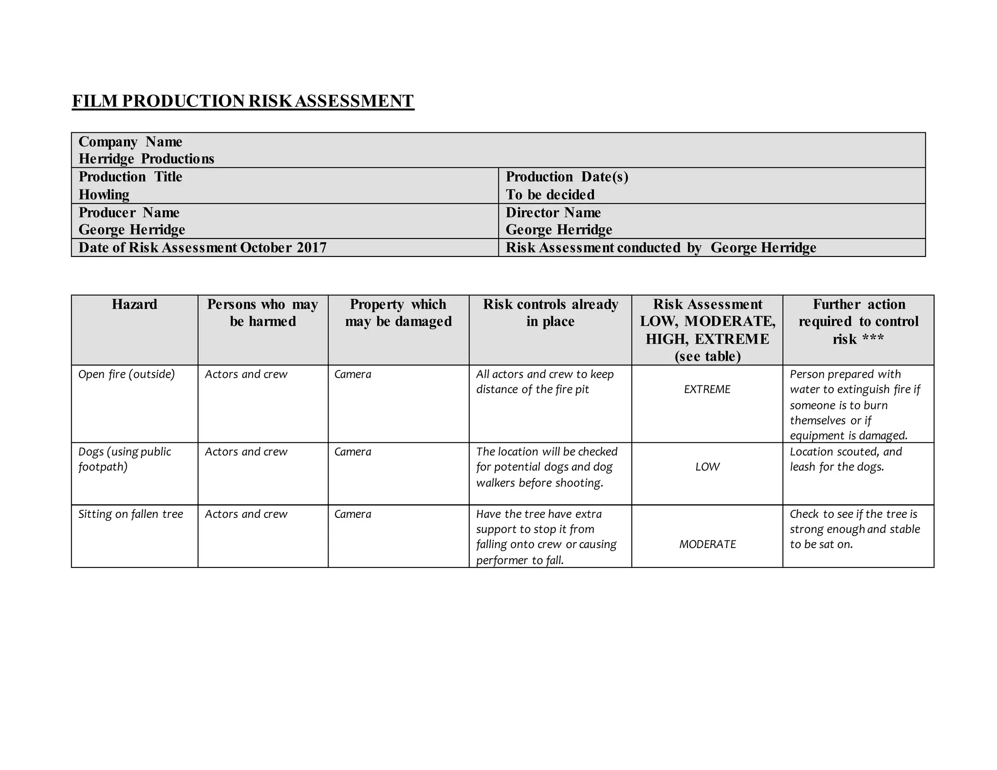 Risk assessment | DOCX