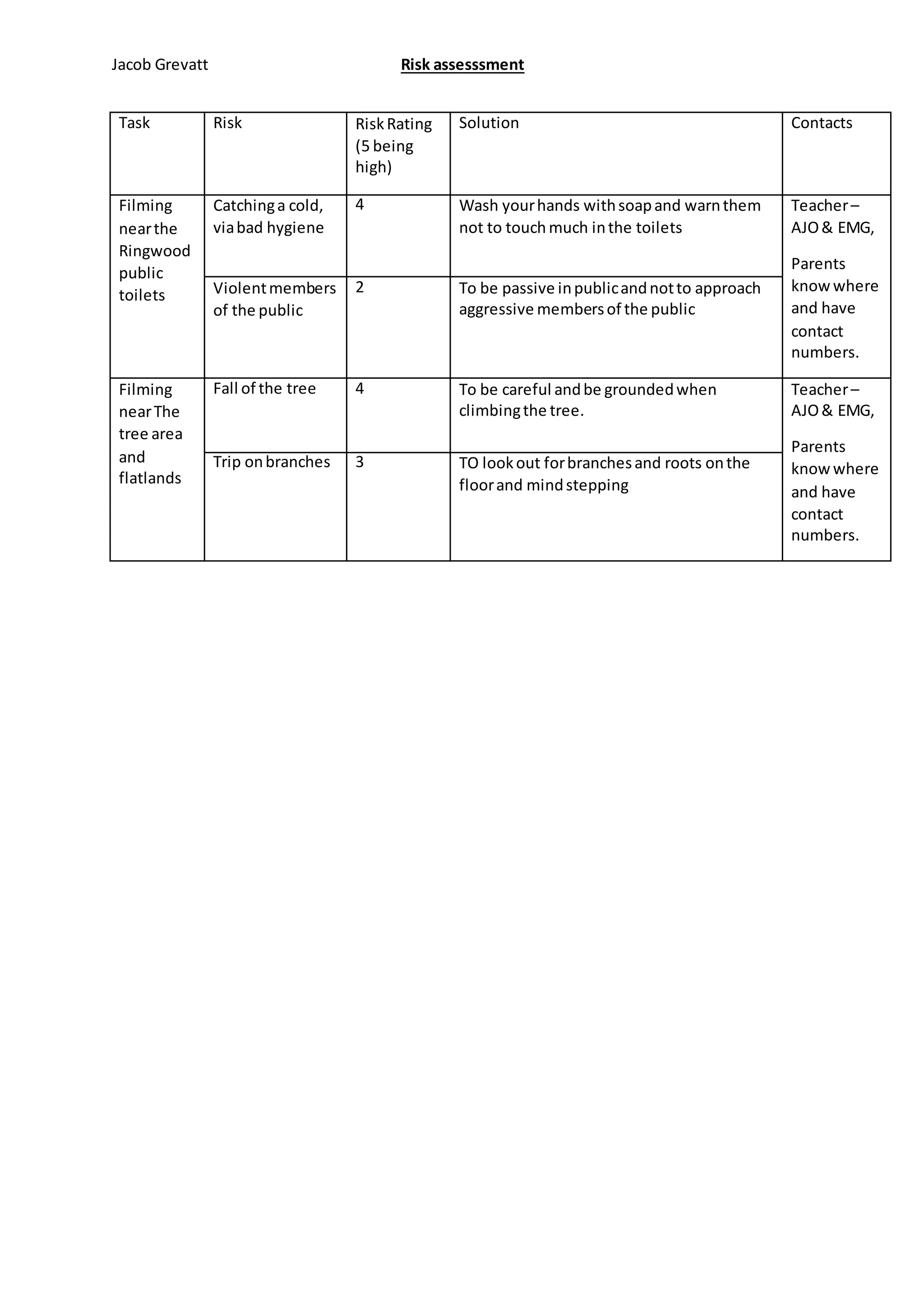 Risk assessment | DOCX