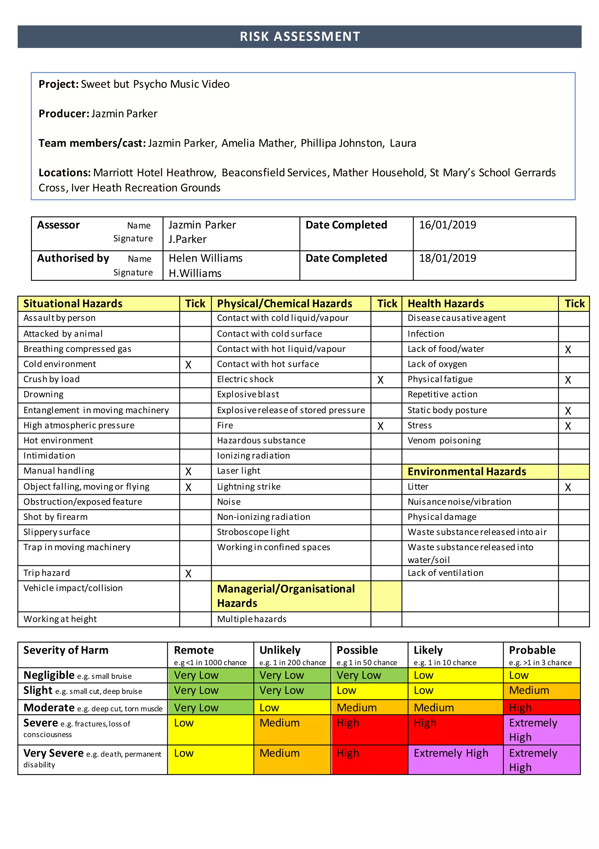 Risk assessment | DOCX