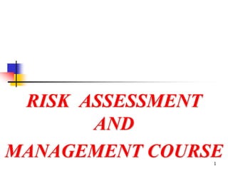 Risk Assessment.ppt