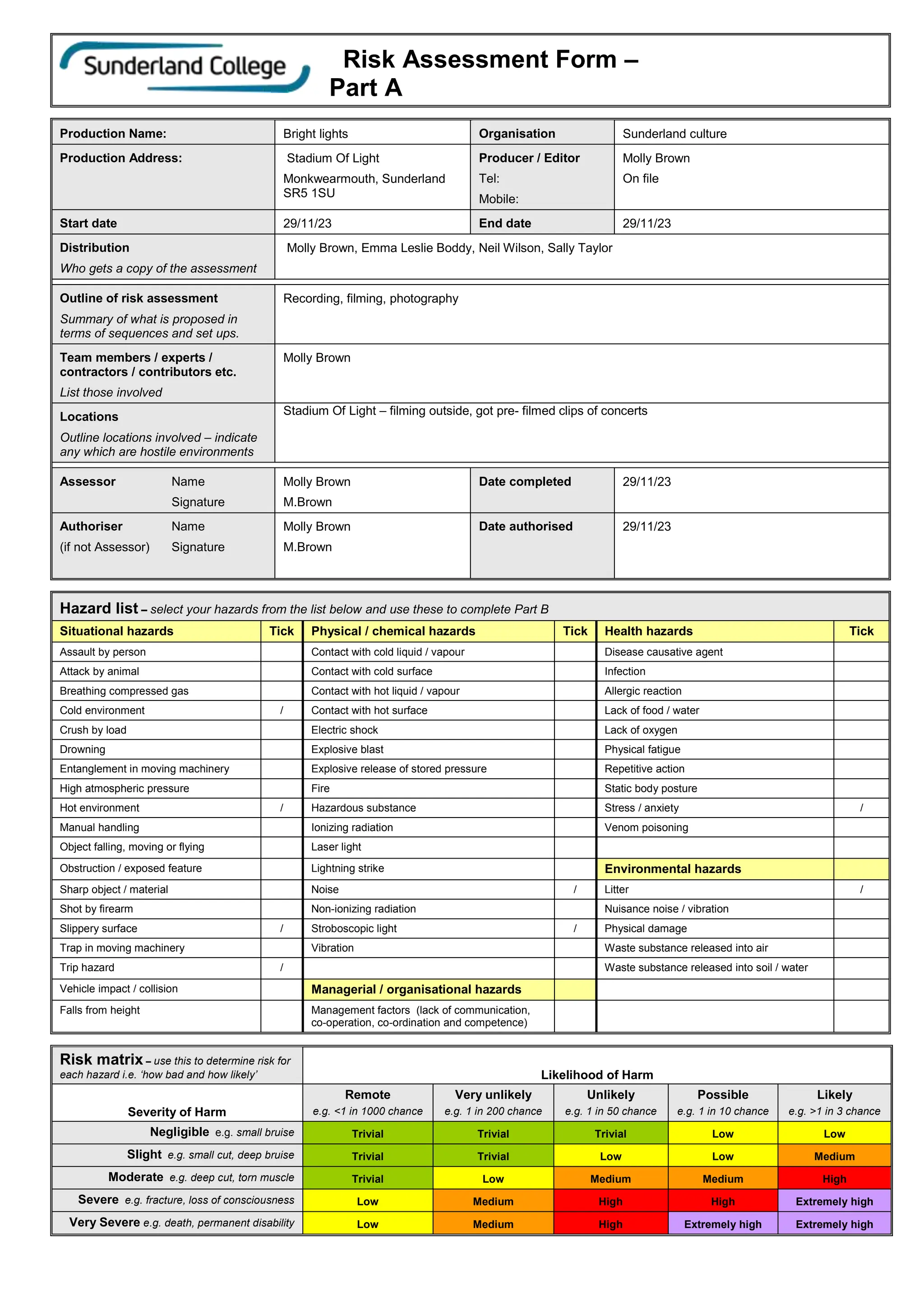 Risk Assessment.docx