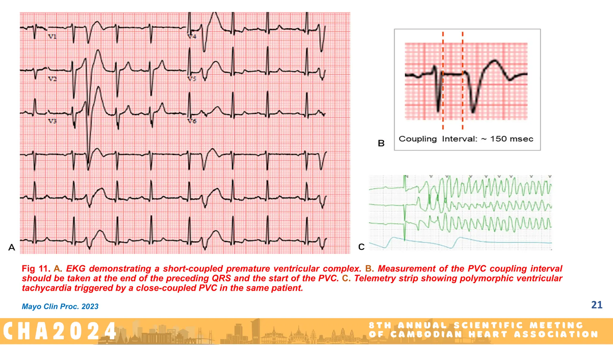 Risk Assessment and Management of PVC.pdf