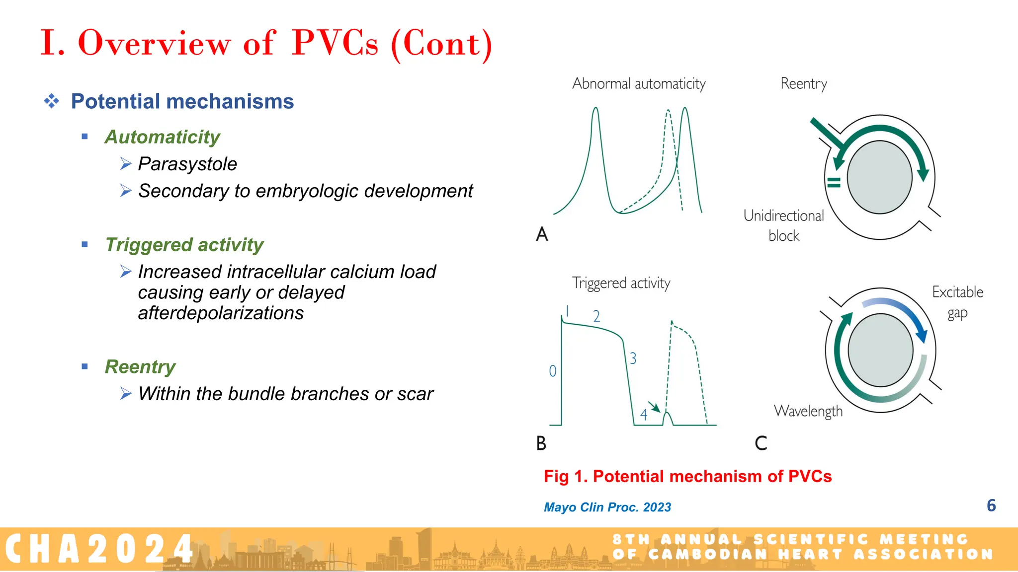 Risk Assessment and Management of PVC.pdf