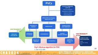 Risk Assessment and Management of PVC.pdf