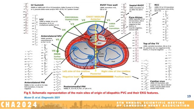 Risk Assessment and Management of PVC.pdf