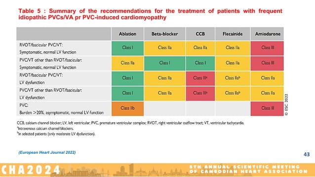 Risk Assessment and Management of PVC.pdf