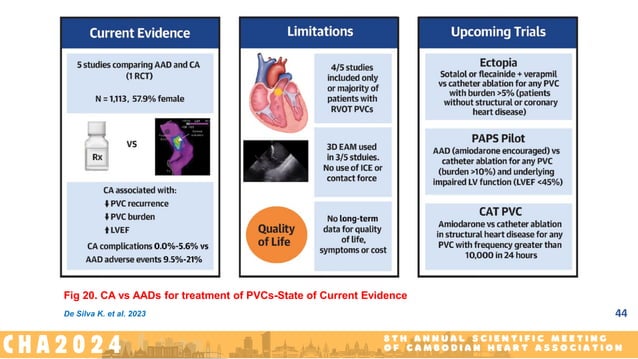 Risk Assessment and Management of PVC.pdf