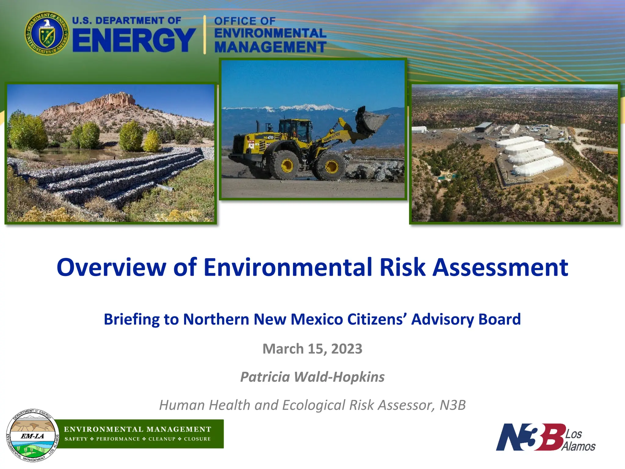 Risk Assessment_An_Overview andTypes of Environmental Risk Assessment .pdf