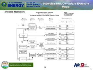 Risk Assessment_An_Overview andTypes of Environmental Risk Assessment .pdf
