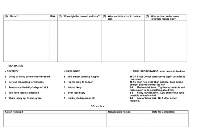 Risk assessment (astro turf) | DOC