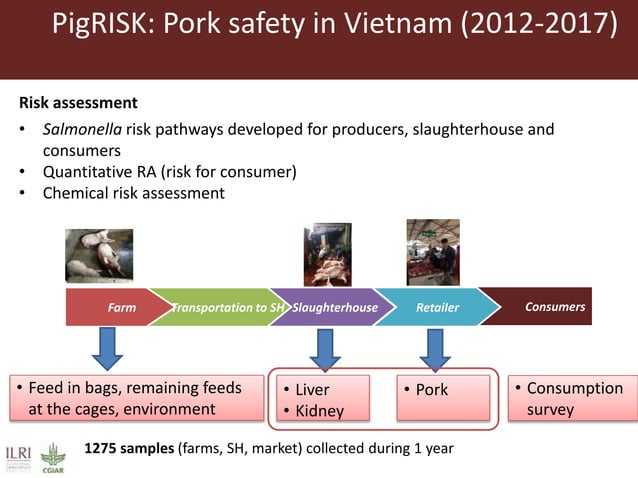 Risk assessment for food safety | PPTX