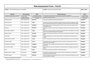 Risk assessment form | DOC