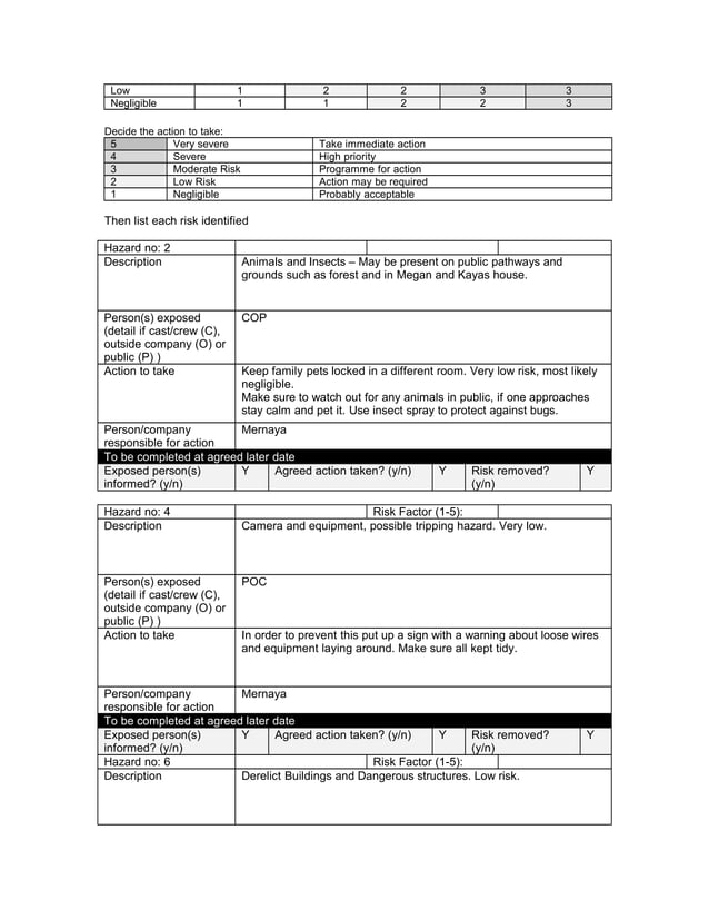Risk assessment form | PDF