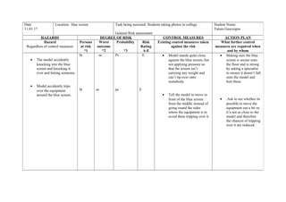 Risk assessment for music mag | DOC