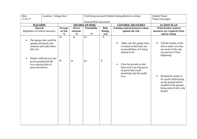 Risk assessment for music mag | PPT
