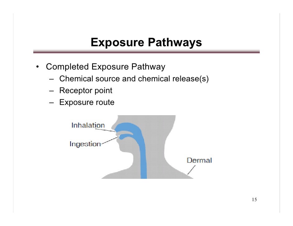 Risk Assessment Presentation