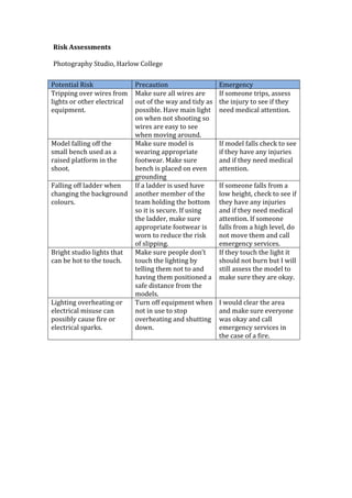 Risk assessments | PDF