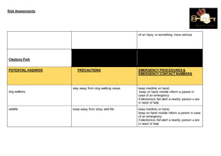 Risk assessments | PPT