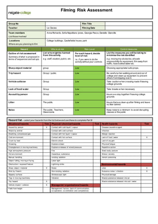 Risk assessment (sofia napolitano jones) | DOCX