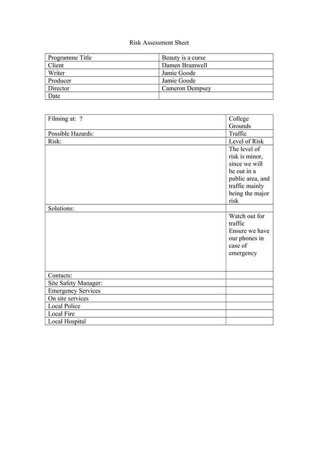 Risk assessment template