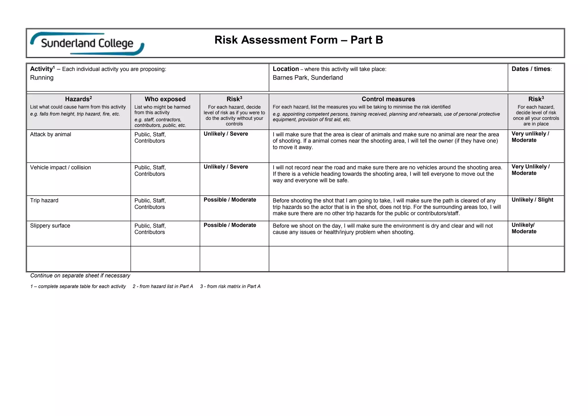 Risk Assessment Template.doc