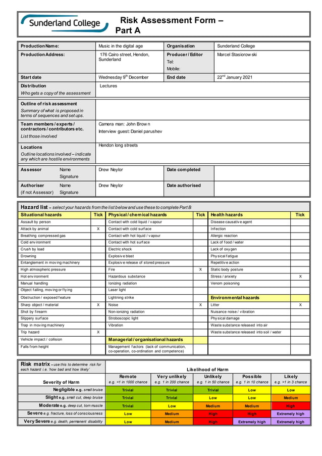 Risk assessment template (1) | DOCX | Injuries | Diseases and Conditions