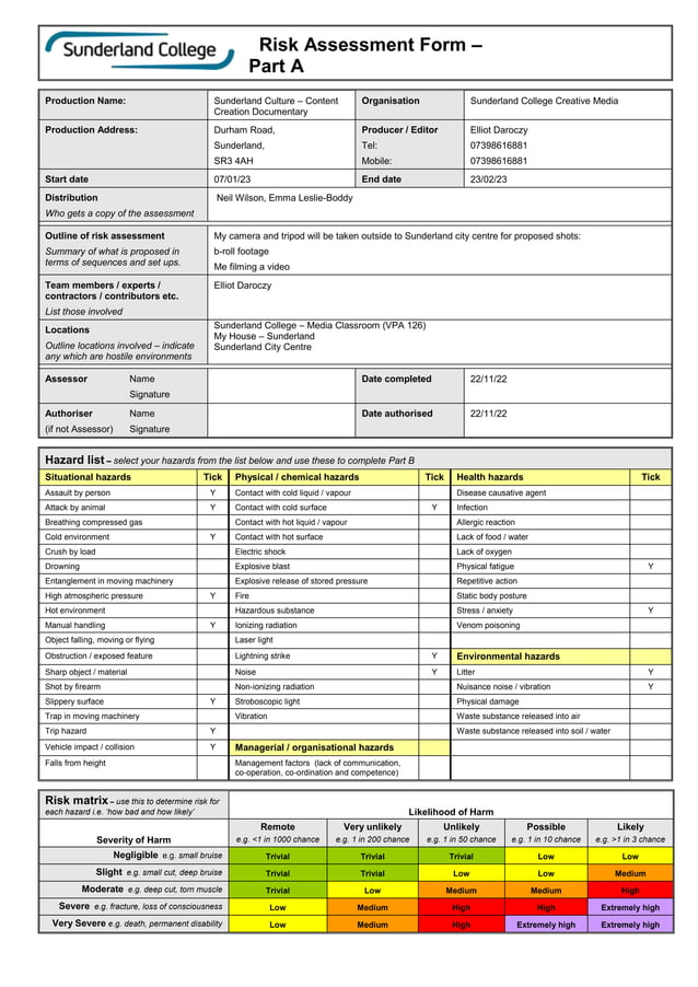 Risk Assessment Template (Exemplar).docx | Injuries | Diseases and ...