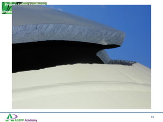 Risk Based Design & SCE | PPT