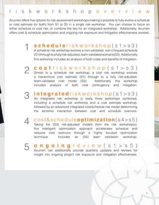 Acumen Risk Workshops Overview | PDF | Business | Business and Finance