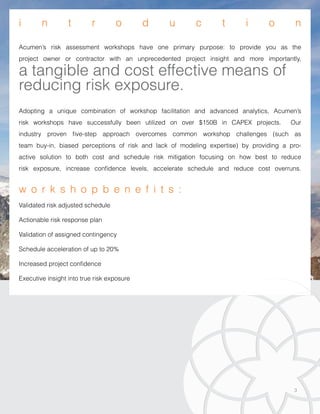 Acumen Risk Workshops Overview | PDF | Business | Business and Finance