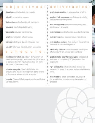 Acumen Risk Workshops Overview | PDF | Business | Business and Finance