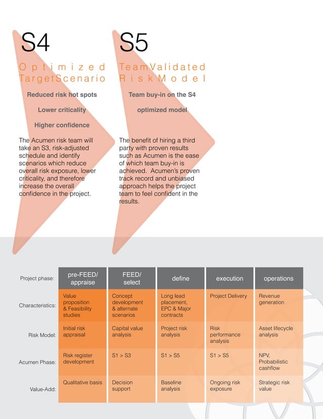 Acumen Risk Workshops Overview | PDF