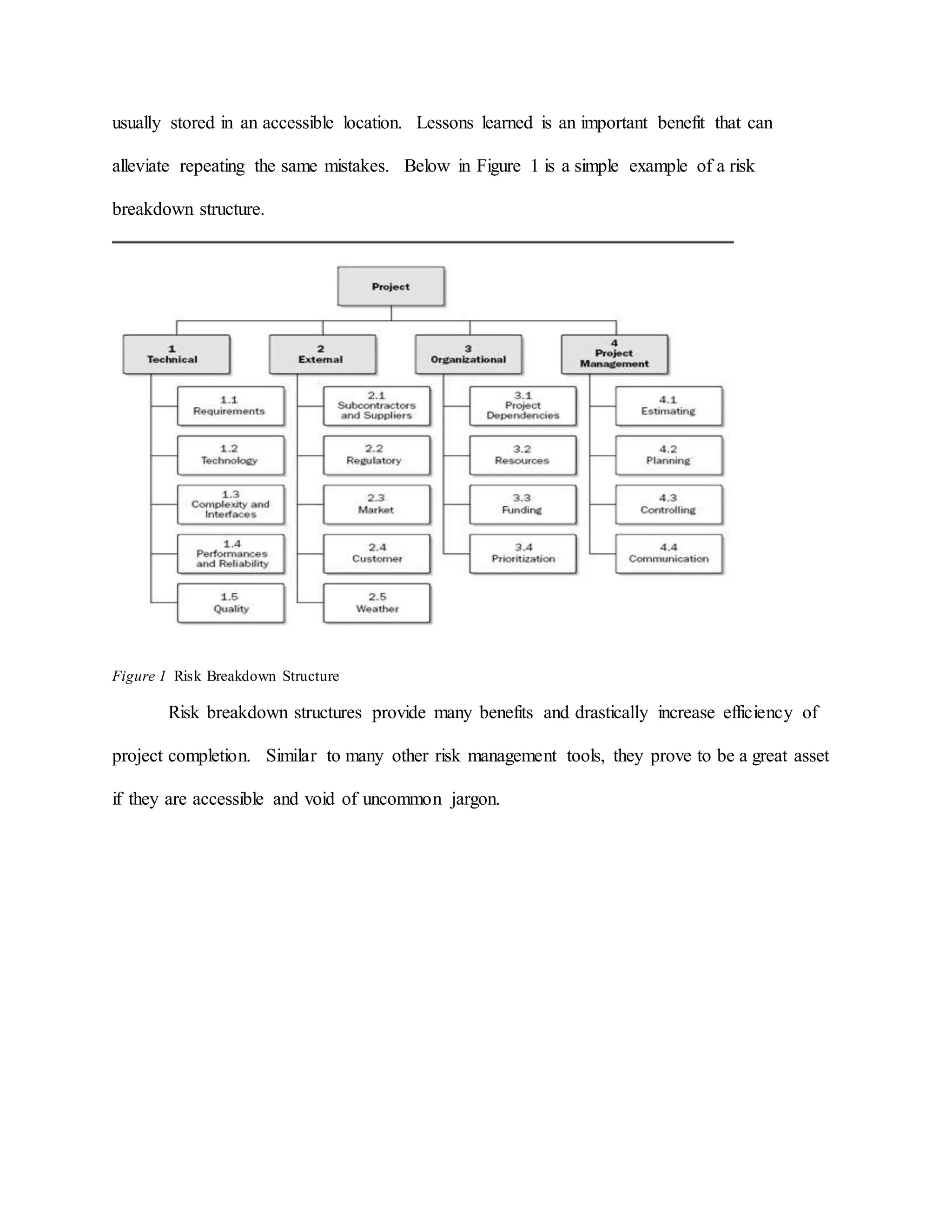 Risk Breakdown Structure by David Bustin | DOCX