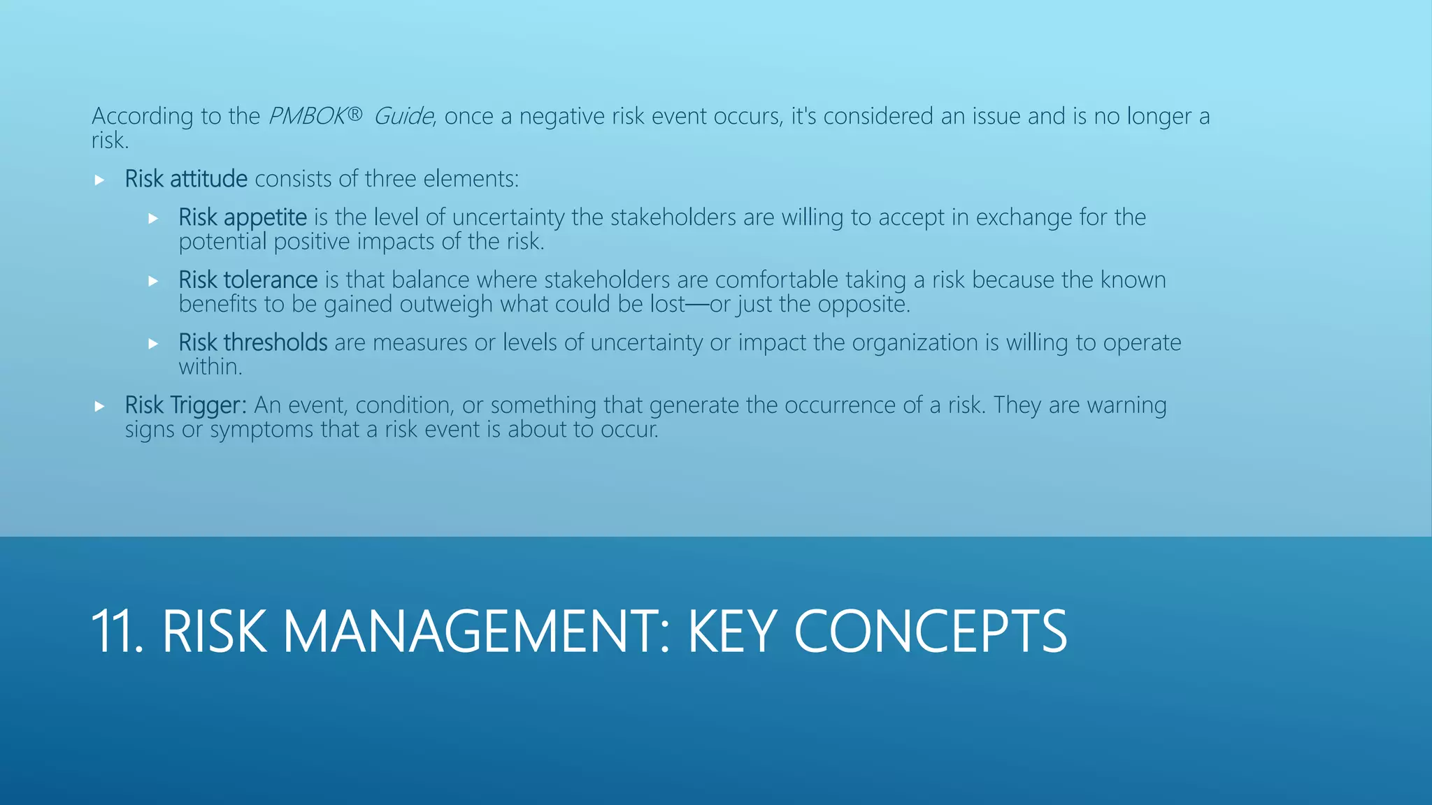 Risk Chapter 11.pptx