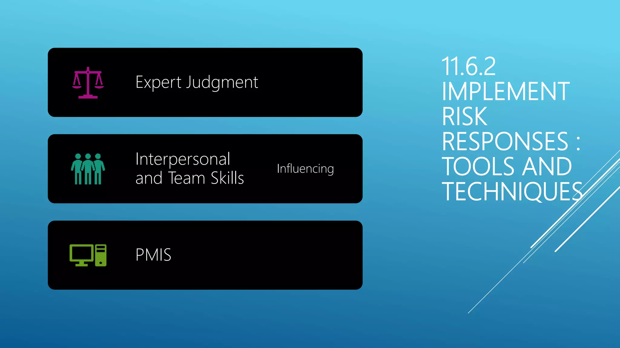 Risk Chapter 11.pptx